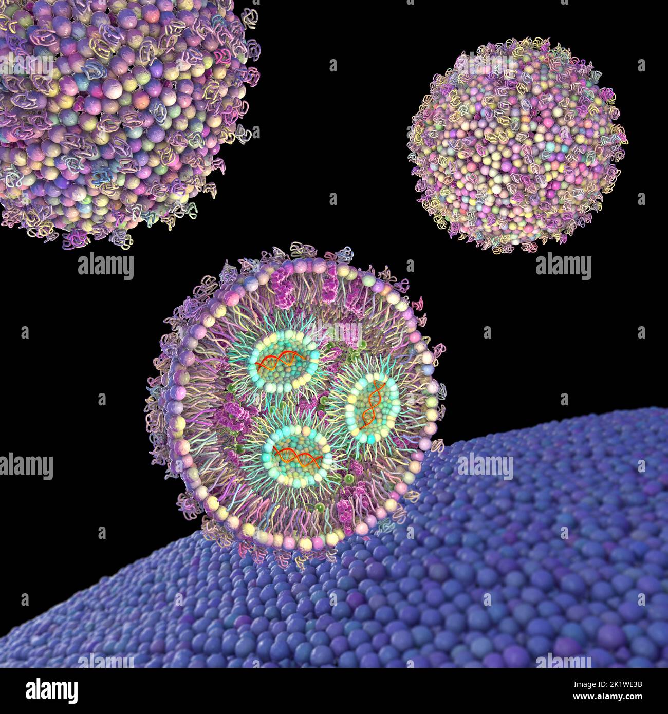 Nanoparticle drug delivery Banque de photographies et d’images à haute ...