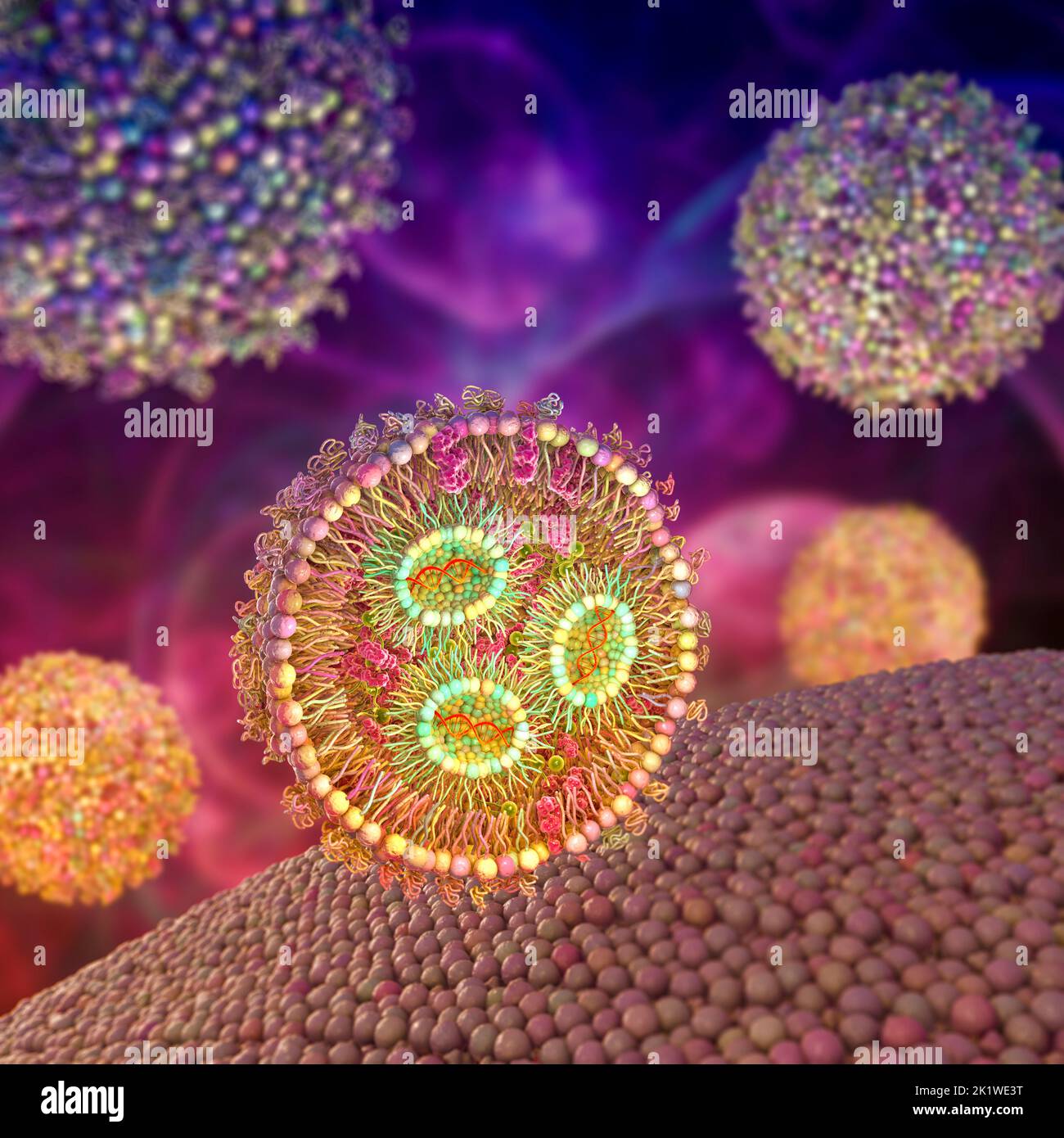 Nanoparticle drug delivery Banque de photographies et d’images à haute ...