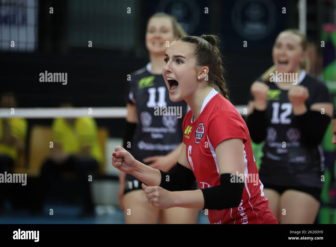 Laaksonen netta Banque de photographies et d’images à haute résolution ...