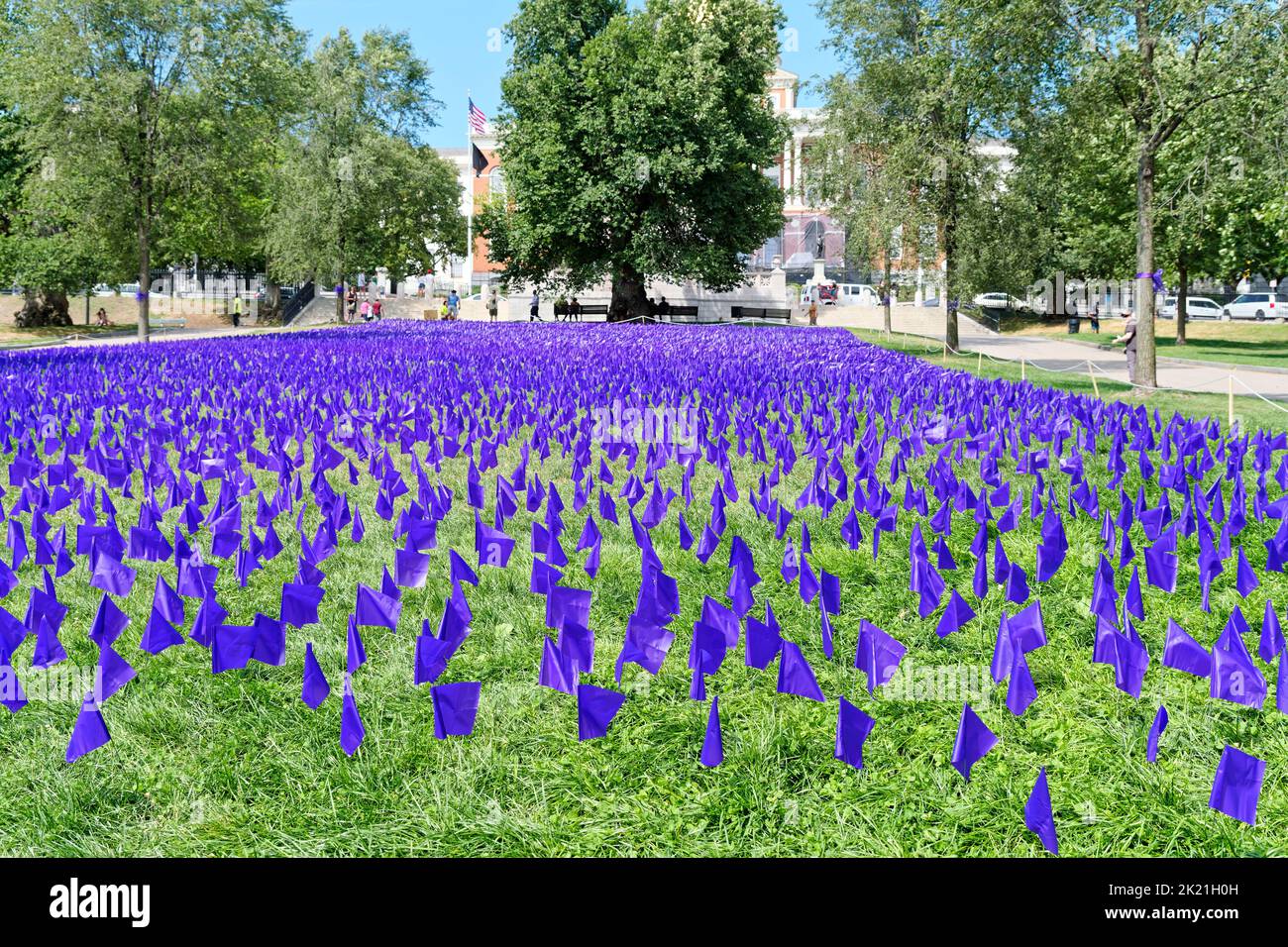 BOSTON, MASSACHUSETTS - 29 août 2022 : des milliers de drapeaux violets ...