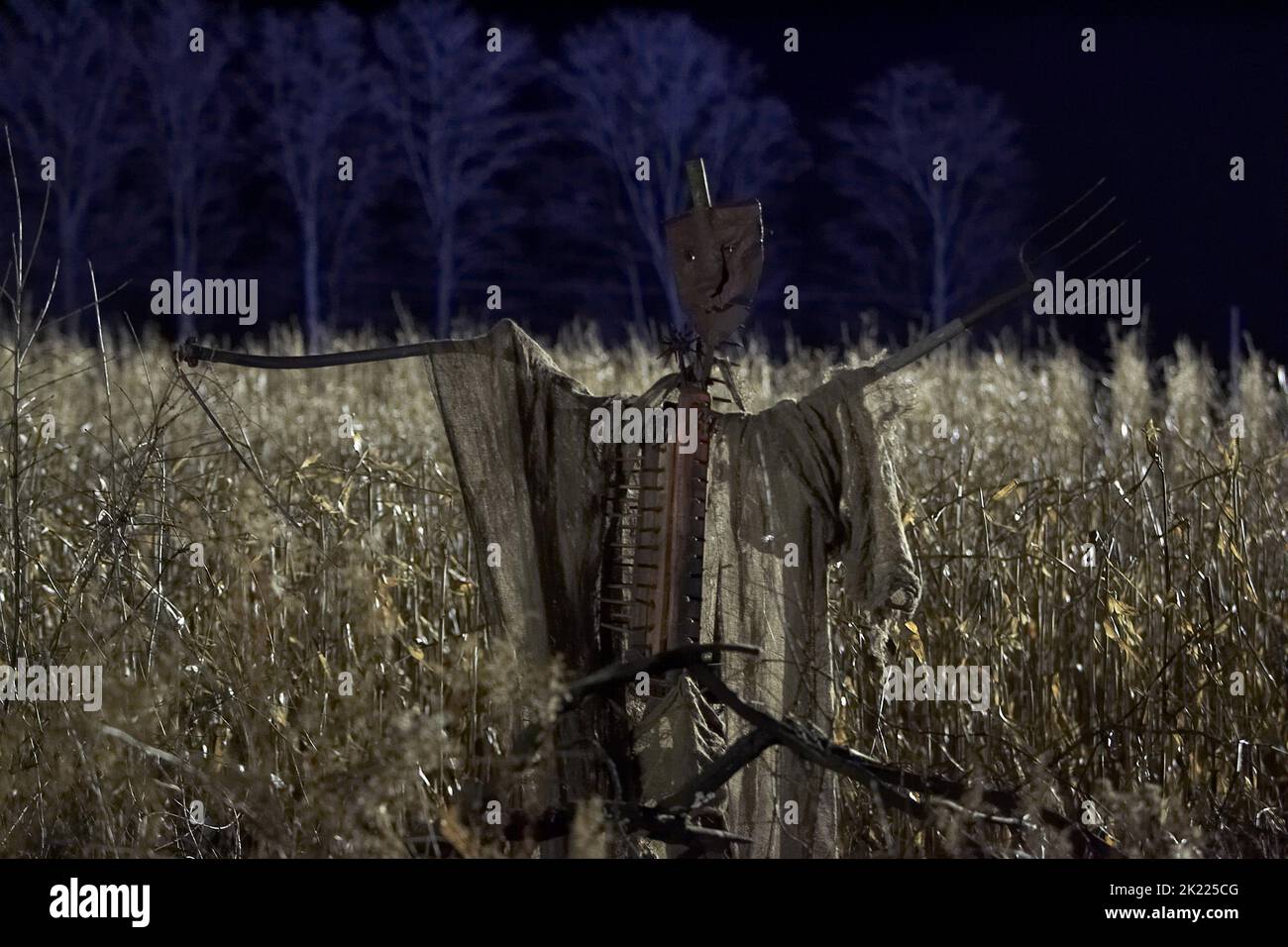 Jordan marsh Banque de photographies et d’images à haute résolution - Alamy