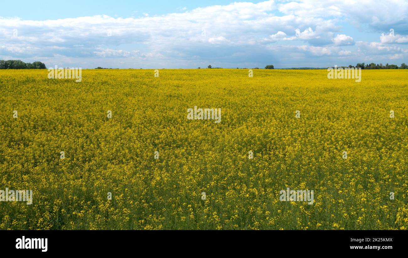 Le vaste domaine Banque de photographies et d’images à haute résolution ...