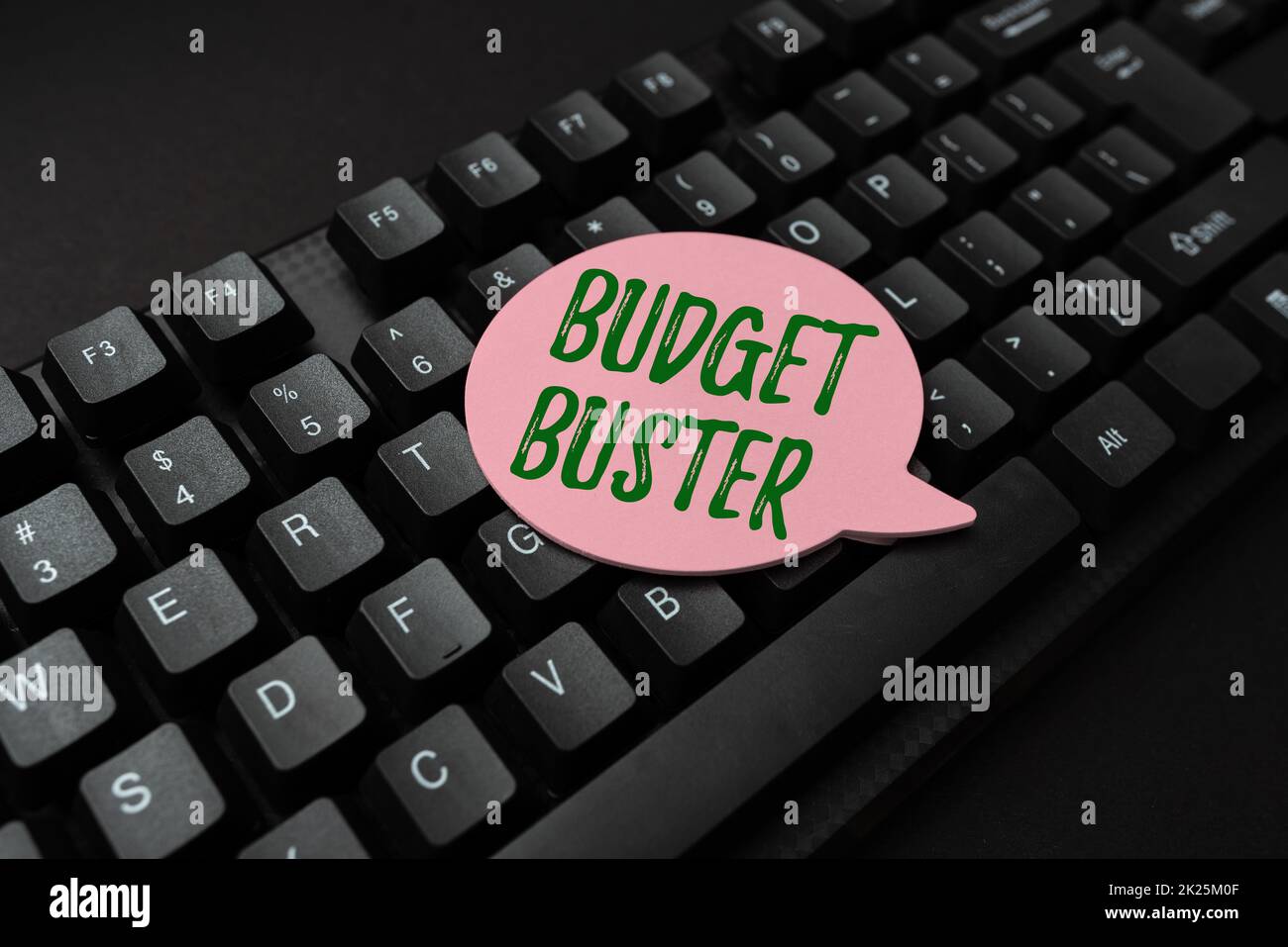 Affiche de texte montrant Budget Buster. Mot pour les dépenses de ...