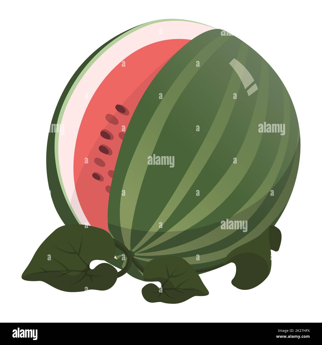 Une grosse pastèque fraîche réaliste isolée sur fond blanc - Vector ...