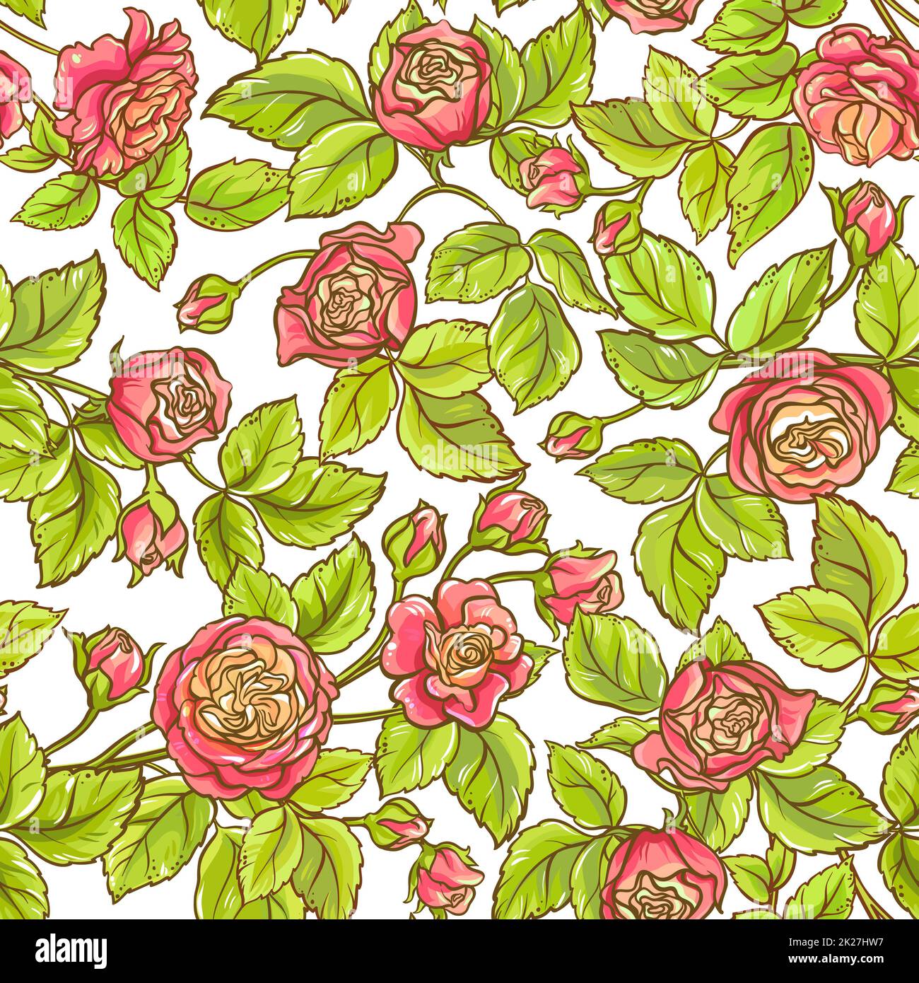 Endless rose Banque de photographies et d’images à haute résolution - Alamy