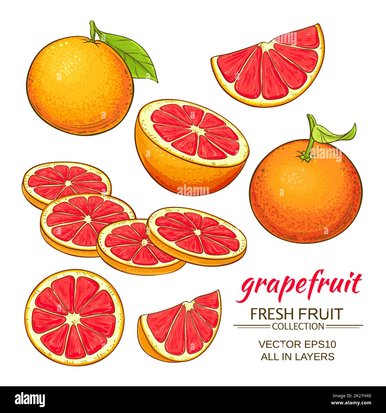 Pamplemousse dessin Banque de photographies et d’images à haute ...