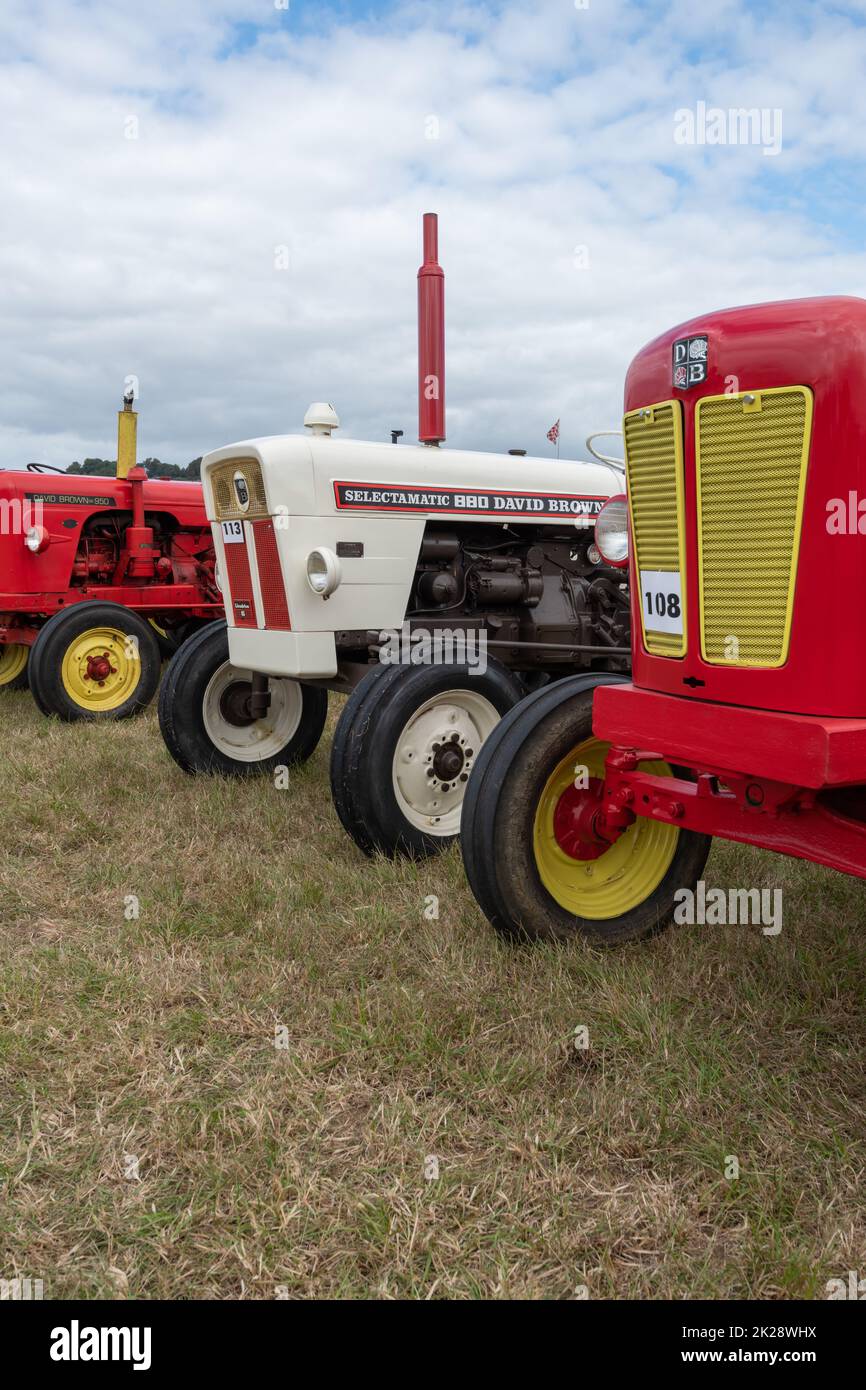 Tracteurs david brown Banque de photographies et d’images à haute résolution - Alamy