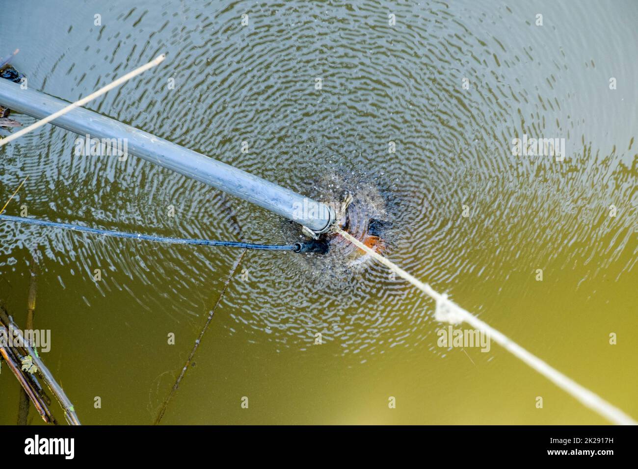 Un jardin submersible pompe immergée dans un étang. Le pompage de l'eau ...
