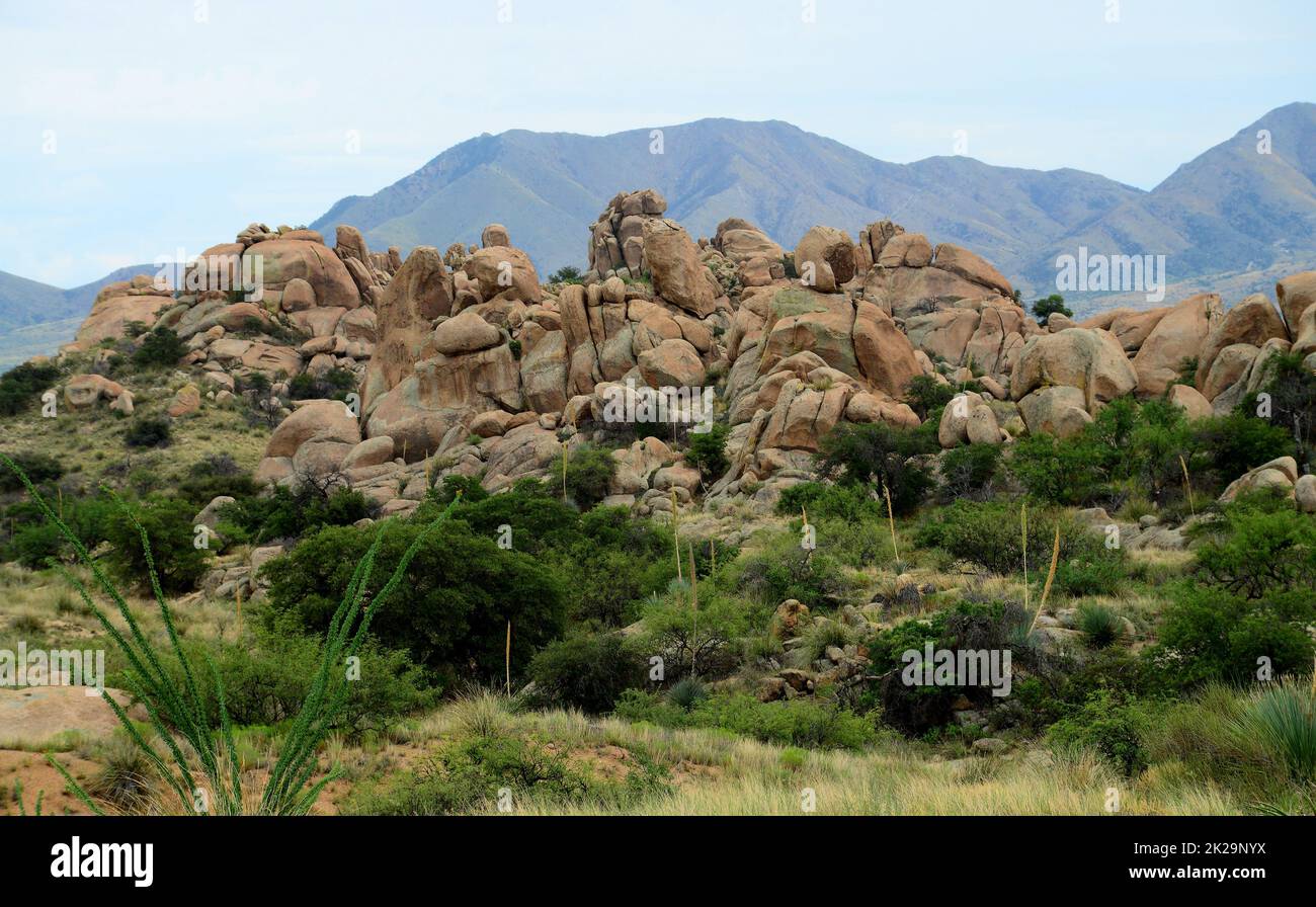 Sonora au texas Banque de photographies et d’images à haute résolution ...