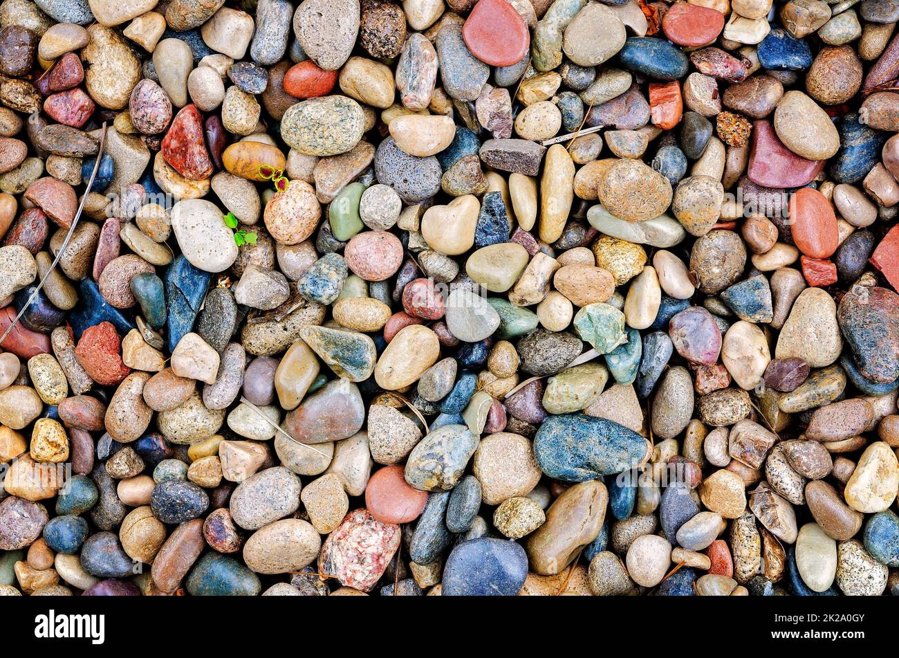 Les roches lisses de la rivière sont utilisées dans l'aménagement ...