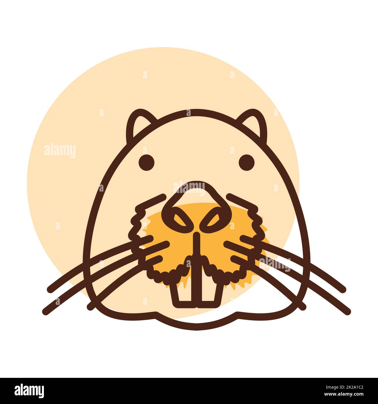 Tête de castor Banque d'images détourées - Alamy