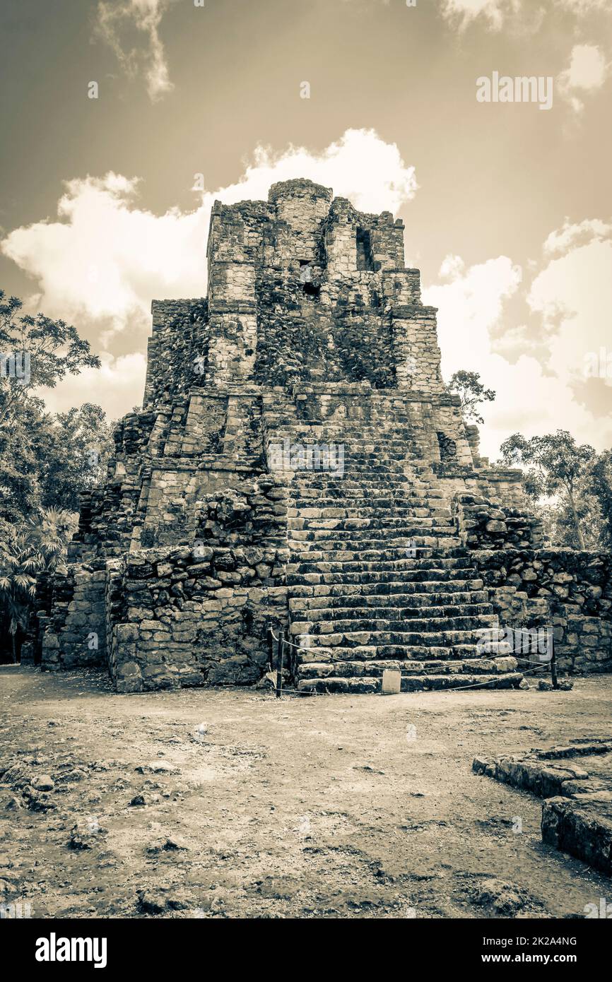 Site maya antique avec les ruines du temple pyramides artefacts Muyil ...