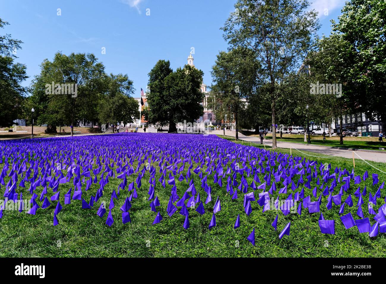 BOSTON, MASSACHUSETTS - 29 août 2022 : des milliers de drapeaux violets ...