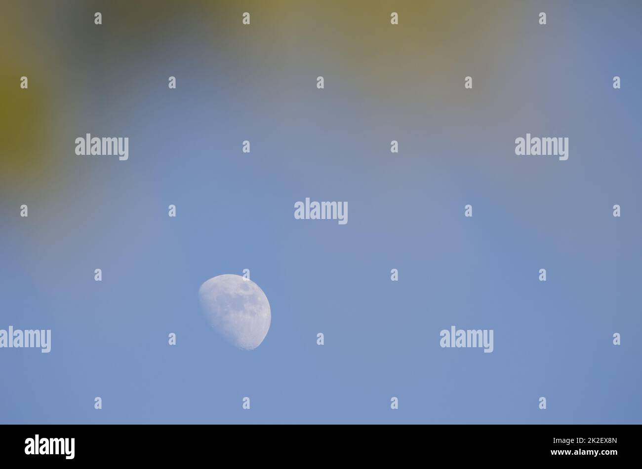 Lune gibbeuse Banque de photographies et d’images à haute résolution ...