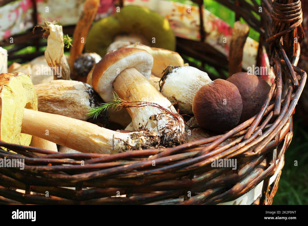 Panier de bolets Banque de photographies et d’images à haute résolution - Alamy