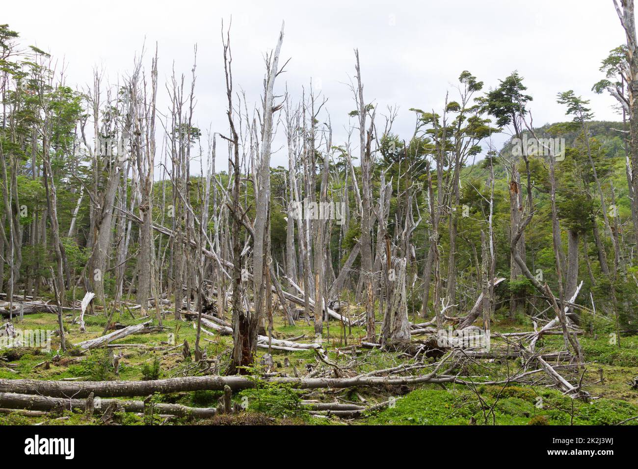 Parque natural de la tierra Banque de photographies et d’images à haute ...