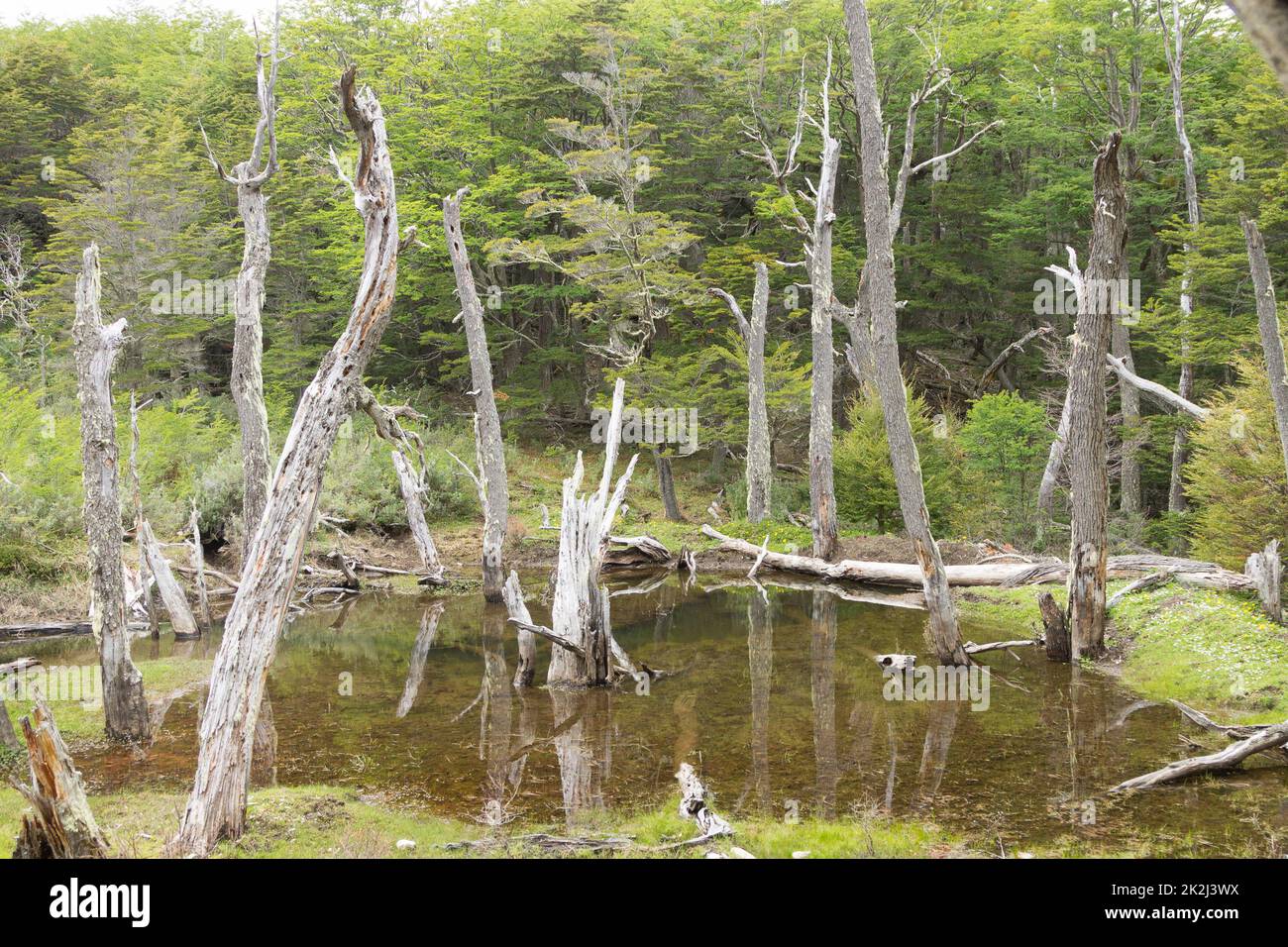Parque natural de la tierra Banque de photographies et d’images à haute ...