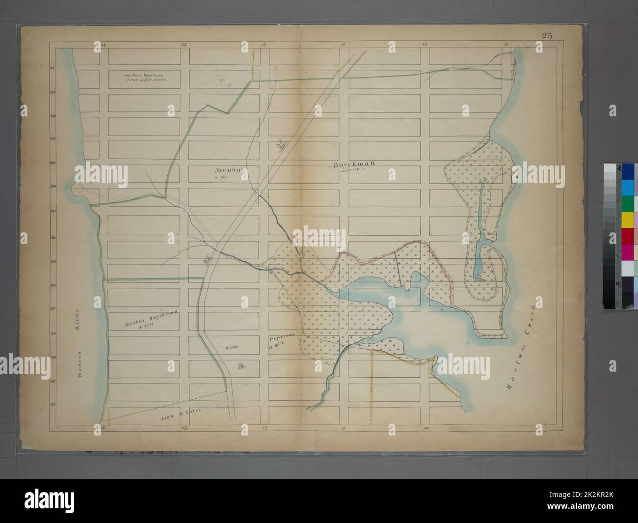 Cartographic, Maps. 1868. Lionel Pincus and Princess Firyal Map ...