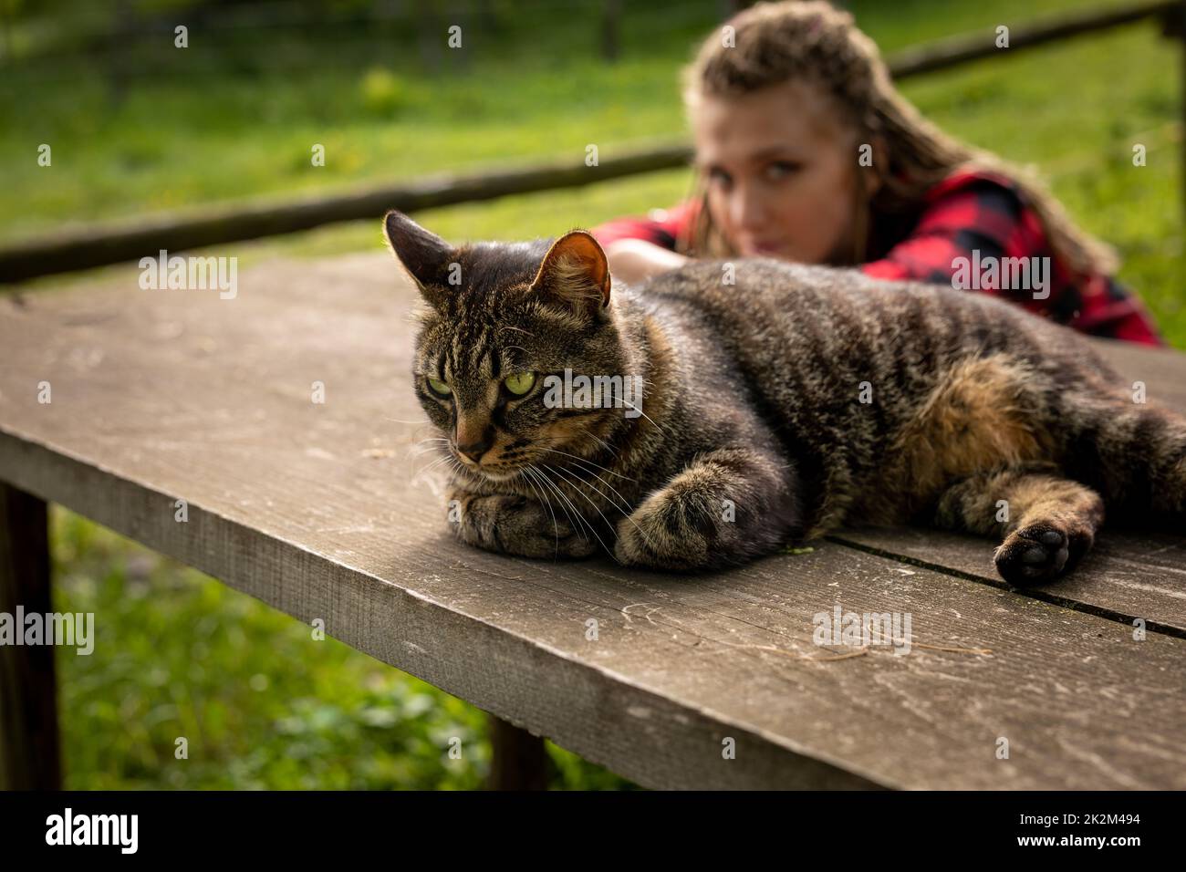 Tête de chat avec corps humain féminin Banque de photographies et d ...