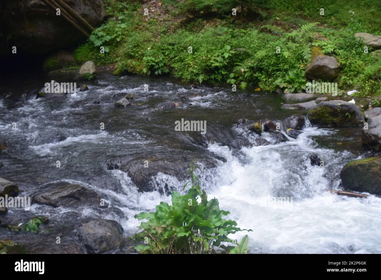 Rivière qui coule l'eau de source Banque de photographies et d’images à ...