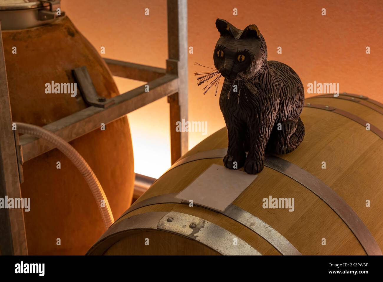 Chat noir (schwarze katze) comme symbole du meilleur vin dans une cave ...