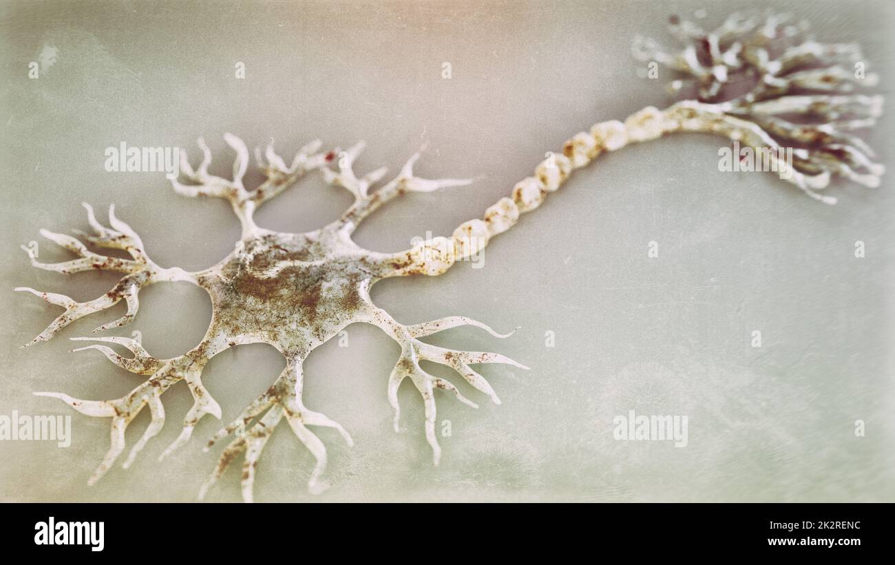 Synapse microscope Banque de photographies et d’images à haute ...