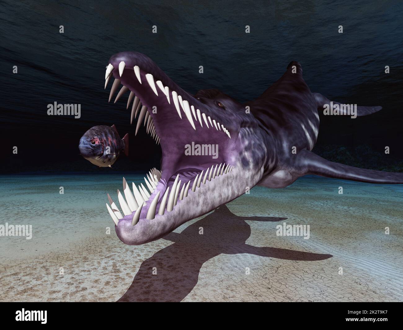 Reptile marin Banque de photographies et d’images à haute résolution ...