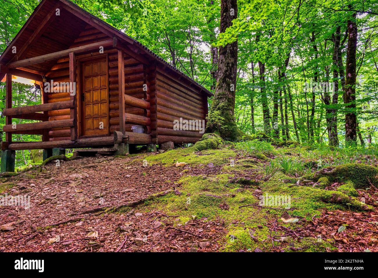 Maison foret en bois Banque de photographies et d’images à haute ...