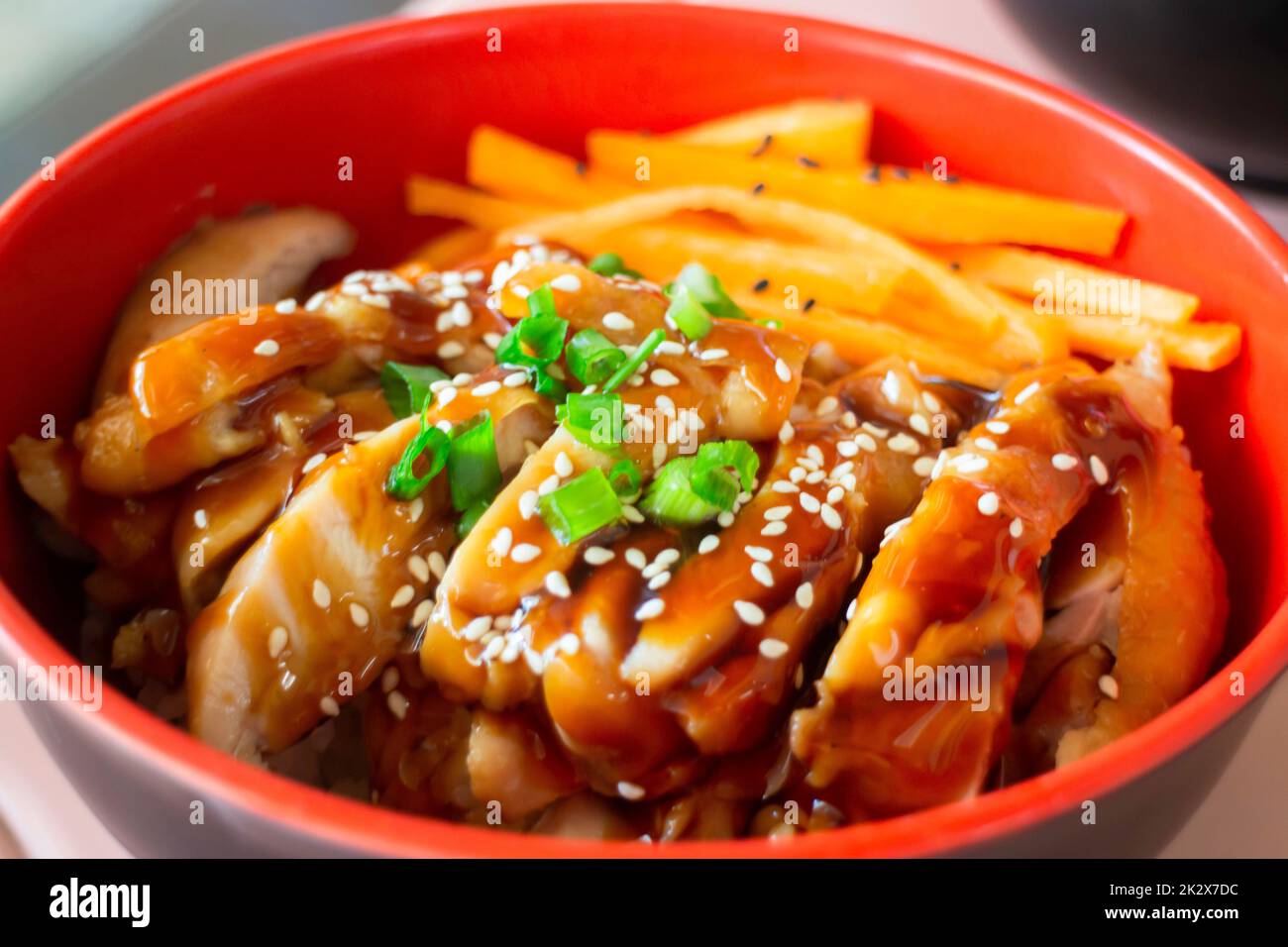 Côtelette de tonkatsu de porc ou poulet frit croustillant au riz ...