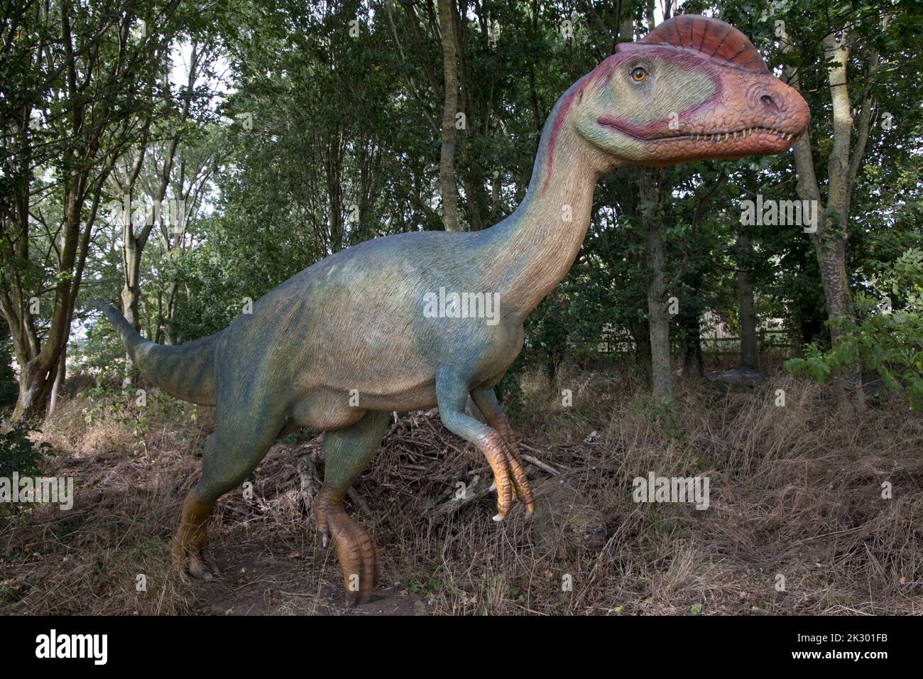 Dinosaure jurassique Banque de photographies et d’images à haute résolution - Alamy