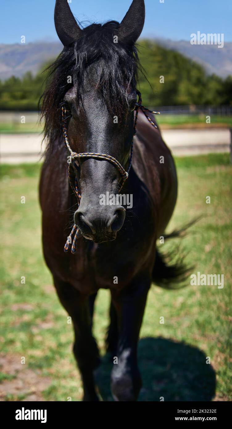 Midi sombre Banque de photographies et d’images à haute résolution - Alamy
