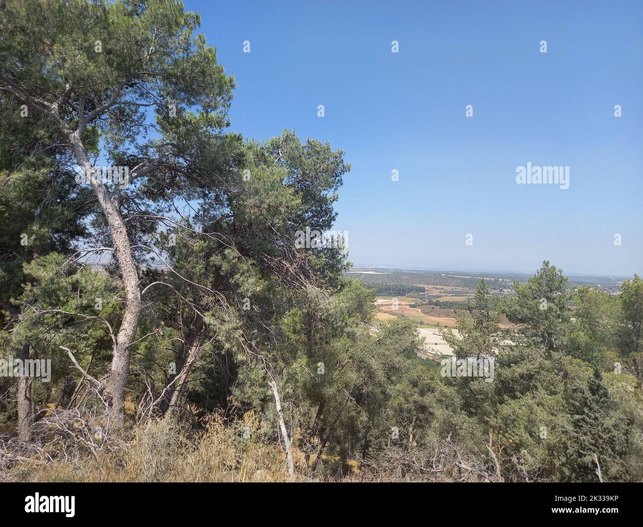 Paisajes de israel Banque de photographies et d’images à haute ...