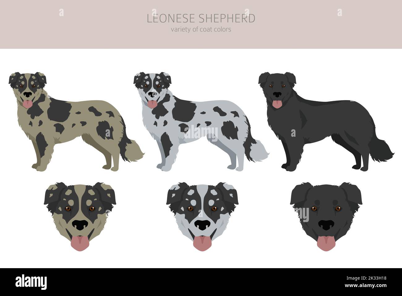 Vectores de leones vectores Banque de photographies et d’images à haute ...