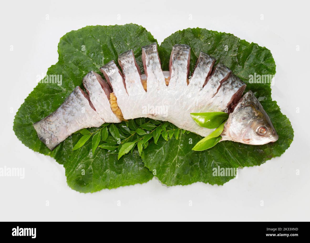 Rui mach Banque de photographies et d’images à haute résolution - Alamy