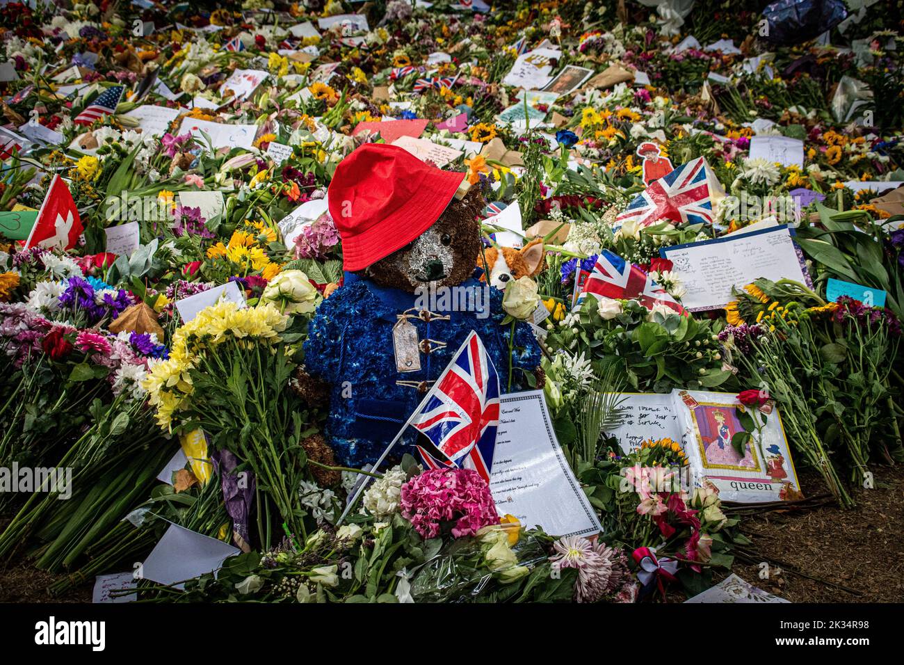 Ours paddington reine elizabeth ii Banque de photographies et d’images ...