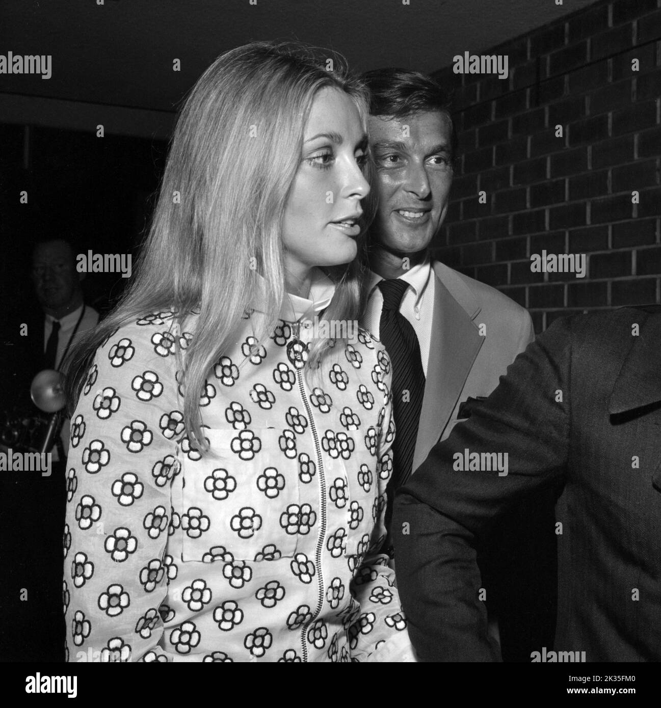 Sharon Tate Circa années 1960 crédit : Ralph Dominguez/MediaPunch Photo ...