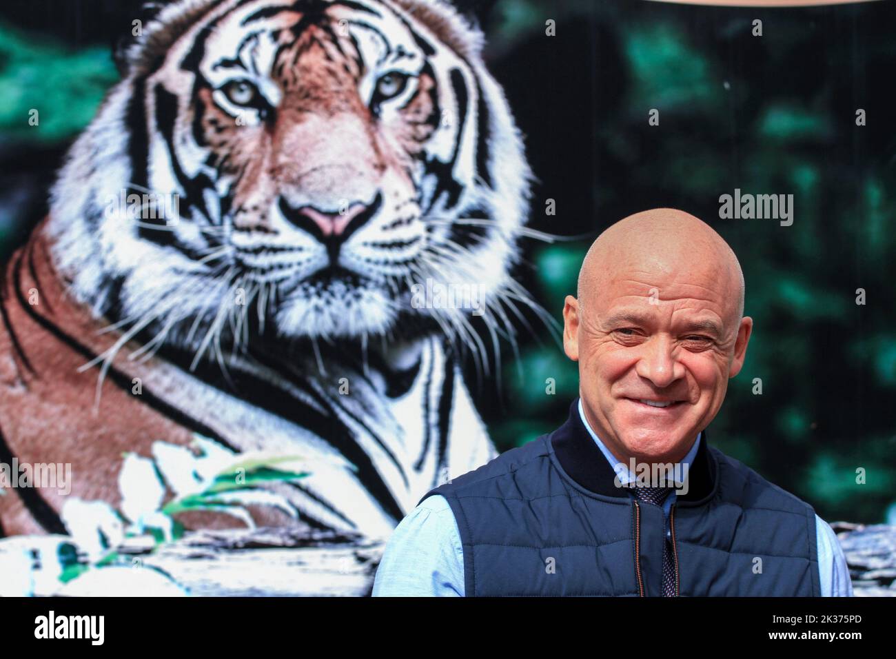 Le maire d'Odessa Gennady Trukhanov est vu dans le fond d'une affiche avec un tigre. L'un des ...
