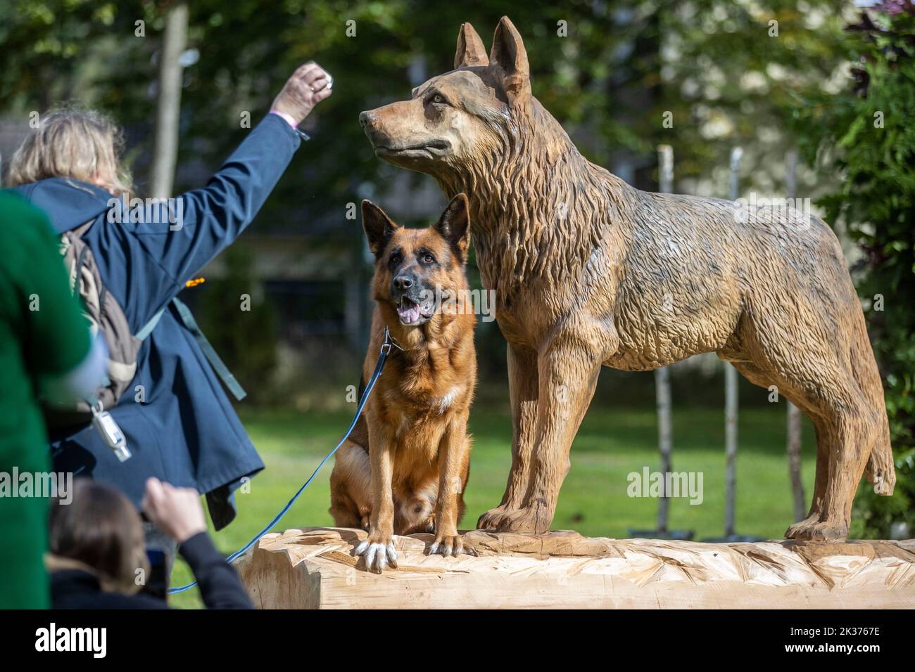 Statue d'un berger allemand Banque de photographies et d’images à haute ...
