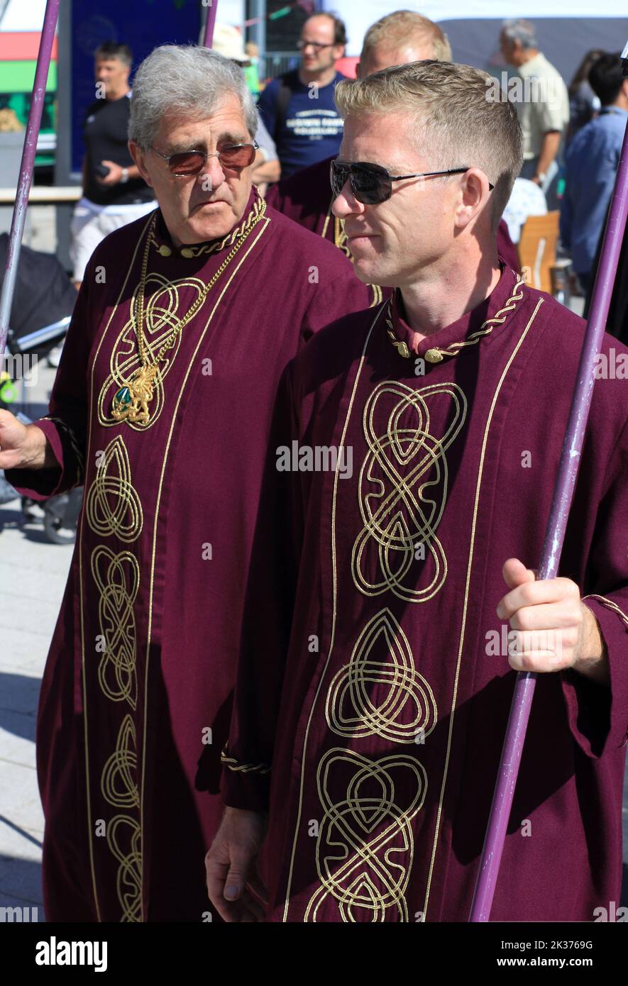 National symbols of wales Banque de photographies et d’images à haute ...