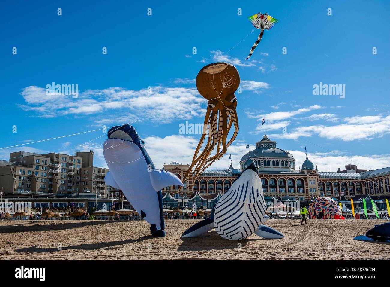 Plusieurs cerfs-volants énormes en forme de poulpe et des baleines ...