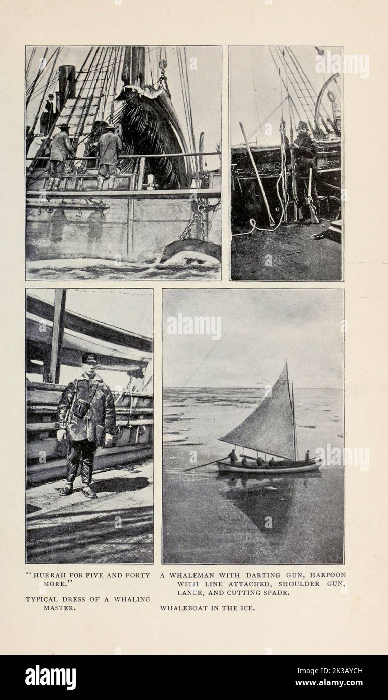 À bord d'un baleinier de navire à baleines avec harpon de l'article The ...