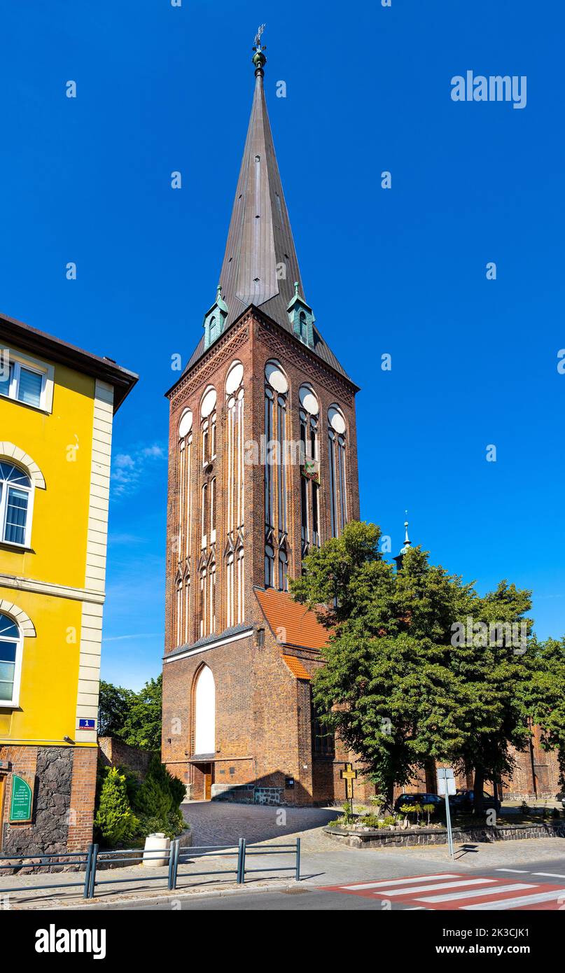 Stargard, Pologne - 11 août 2022 : église gothique Saint-Jean-Baptiste ...