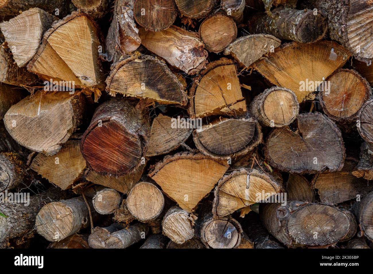 Détails de quelques bûches de bois de chauffage à côté d'une maison à ...