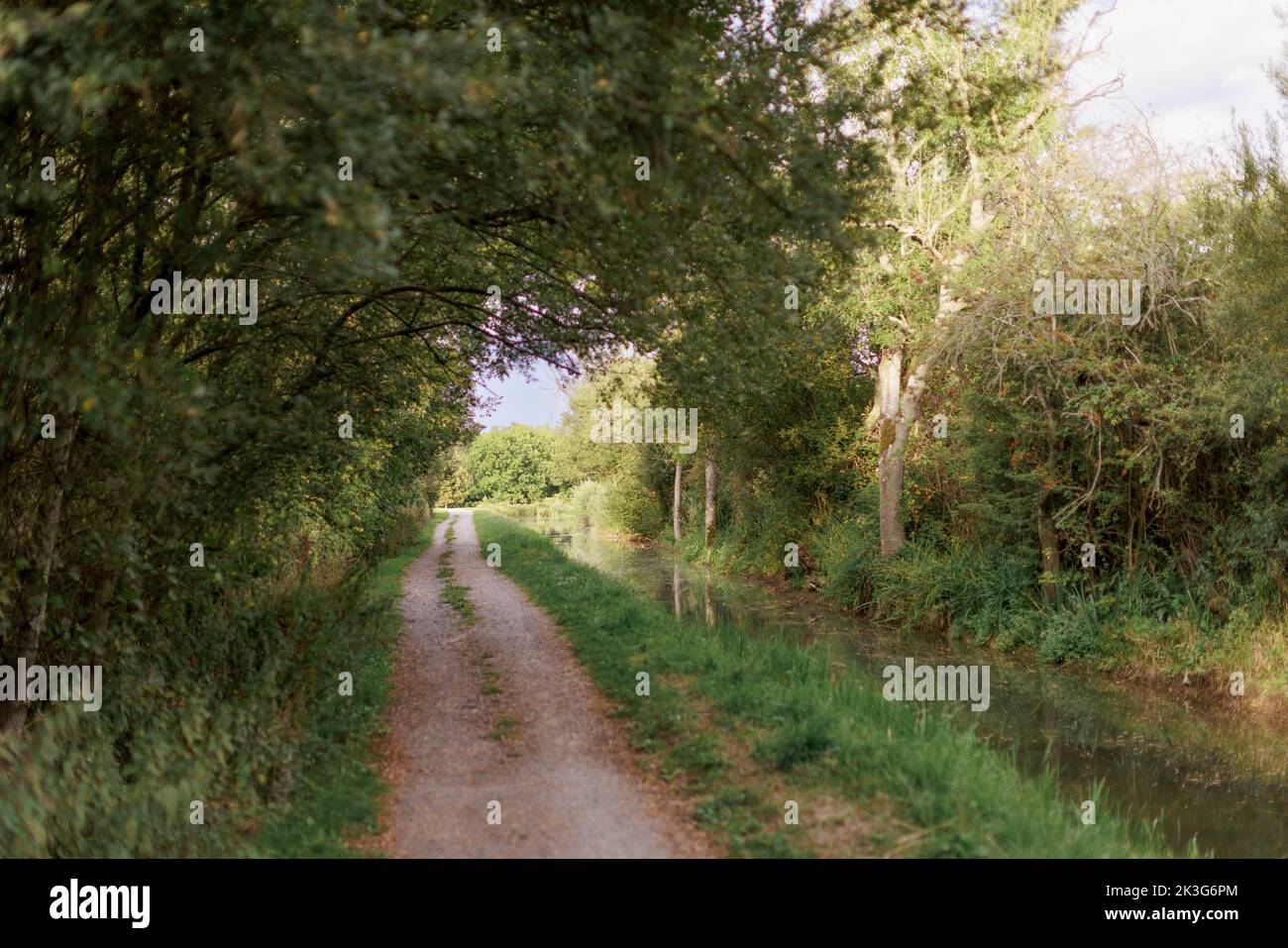 Une section réparée et récupérée des Wilts. Et Berks. Canal près de ...