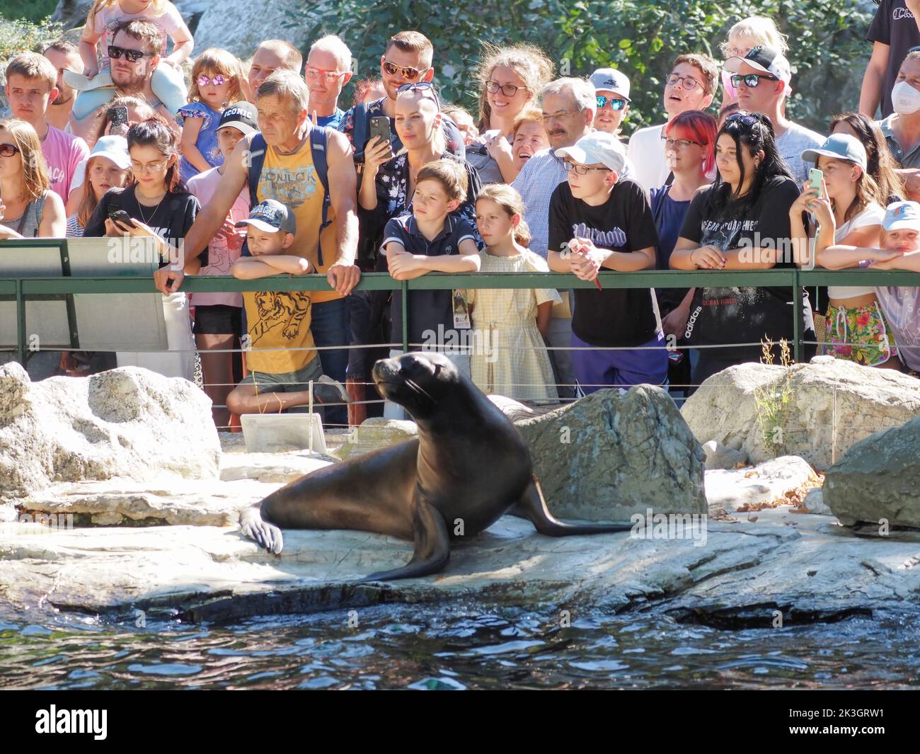 Le public regarde la représentation du lion de mer sud-américain au zoo ...