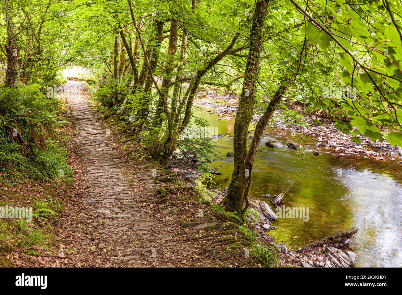 Brendon devon Banque de photographies et d’images à haute résolution - Alamy