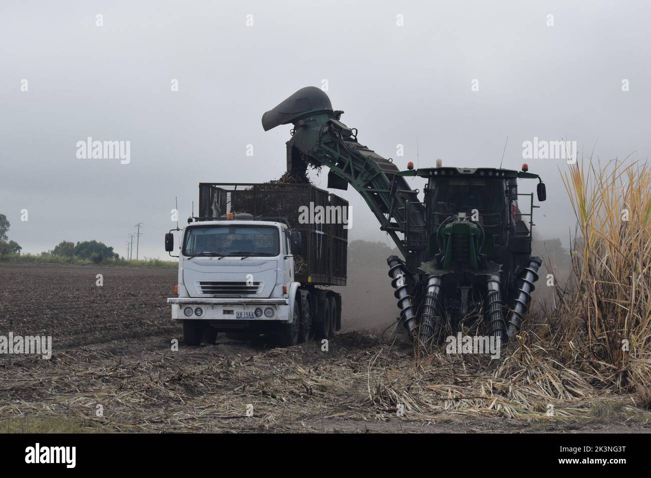 Sugar cane loading Banque de photographies et d’images à haute ...