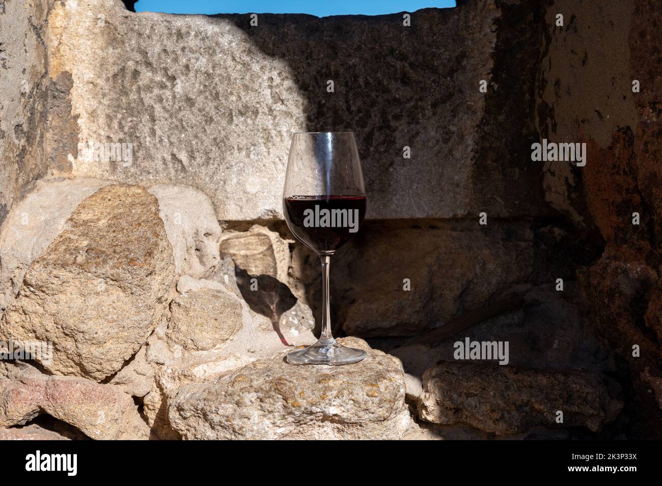 Visite des vins avec dégustation de vin sec rouge et ruines du château ...