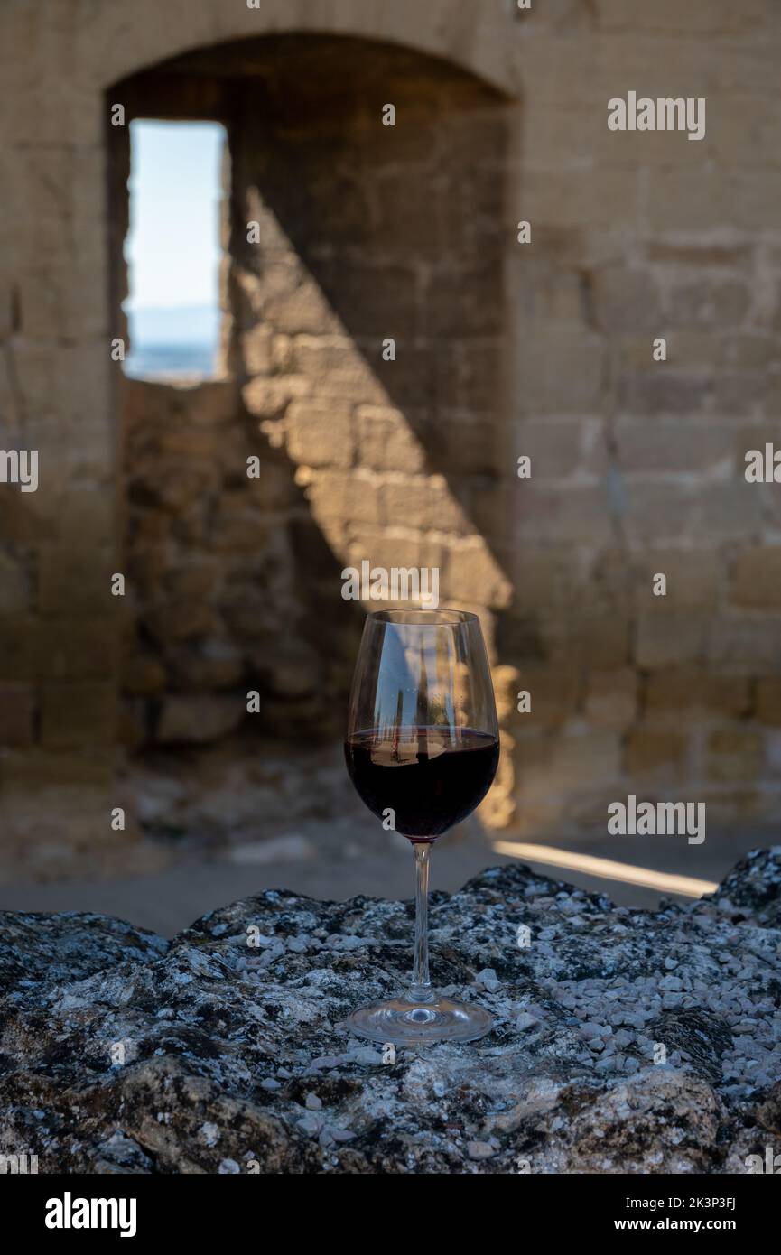 Visite des vins avec dégustation de vin sec rouge et ruines du château ...