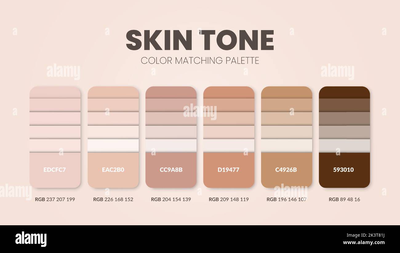 Les palettes de couleurs de thème de tons de peau ou les combinaisons ...